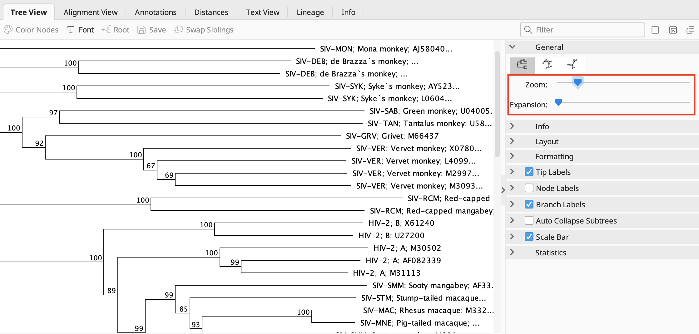 Geneious Prime 系統樹の作成