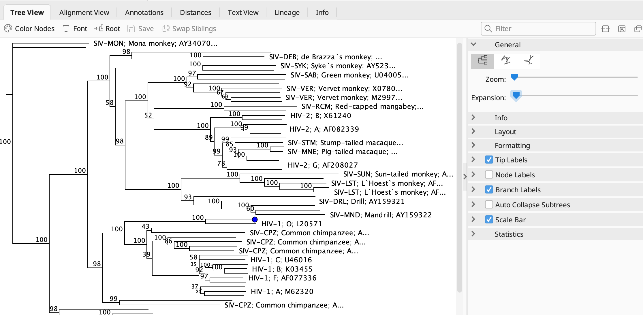 Geneious Prime 系統樹の作成