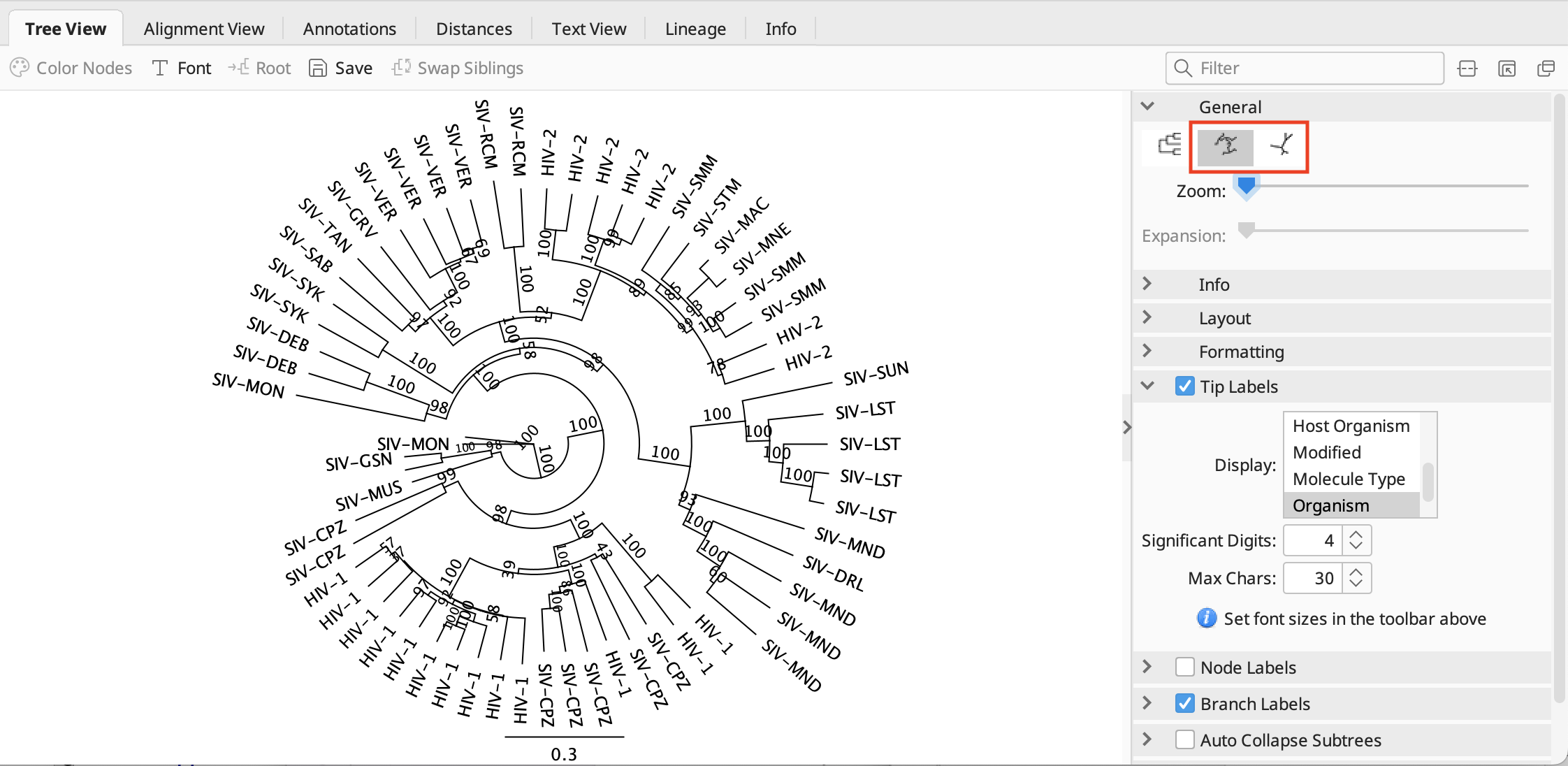 Geneious Prime 系統樹の作成