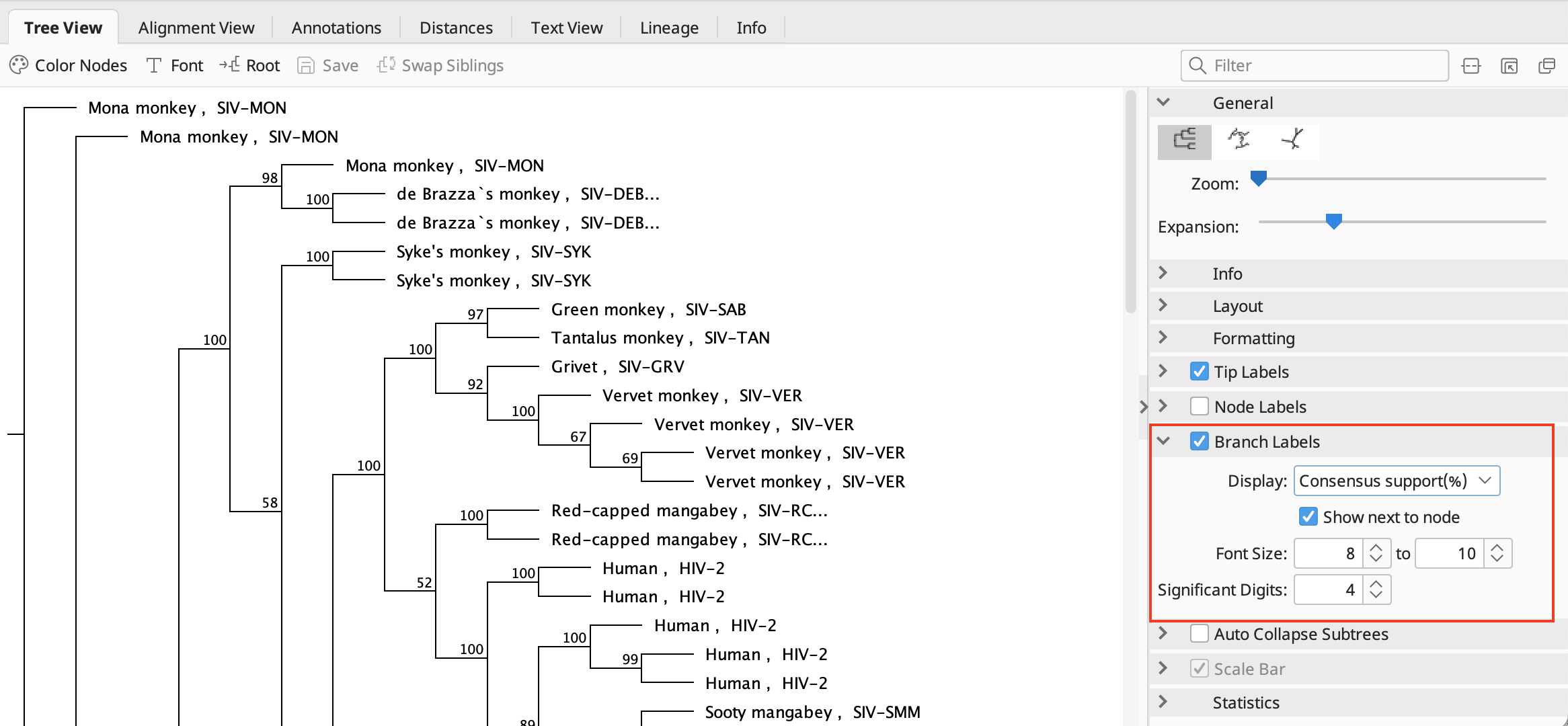 Geneious Prime 系統樹の作成