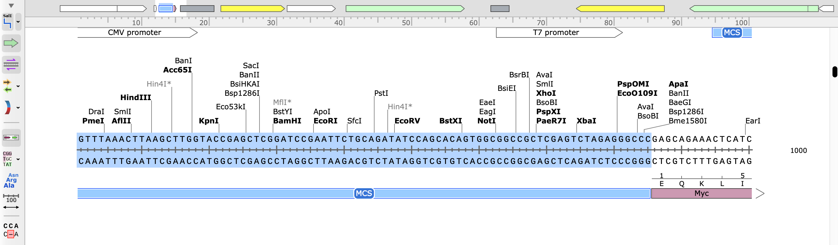 遺伝子工学実験支援ソフトウェアSnapGene 7：基本操作