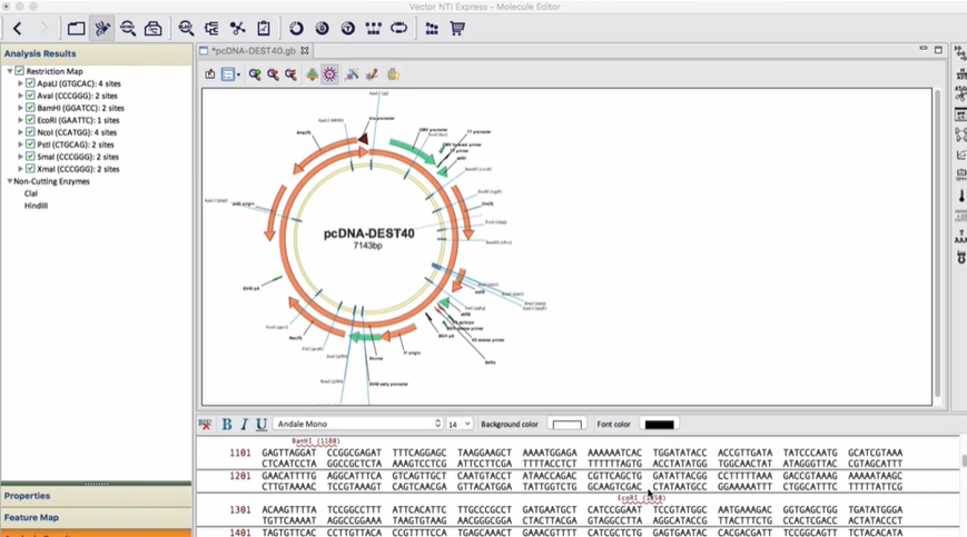 遺伝子工学実験支援ソフトSnapGene：ラーニング